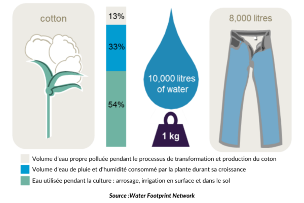 Le coton : pas si doux pour l’environnement