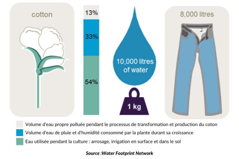 Le coton : pas si doux pour l’environnement