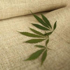 Le chanvre textile : La matière la plus éco-responsable